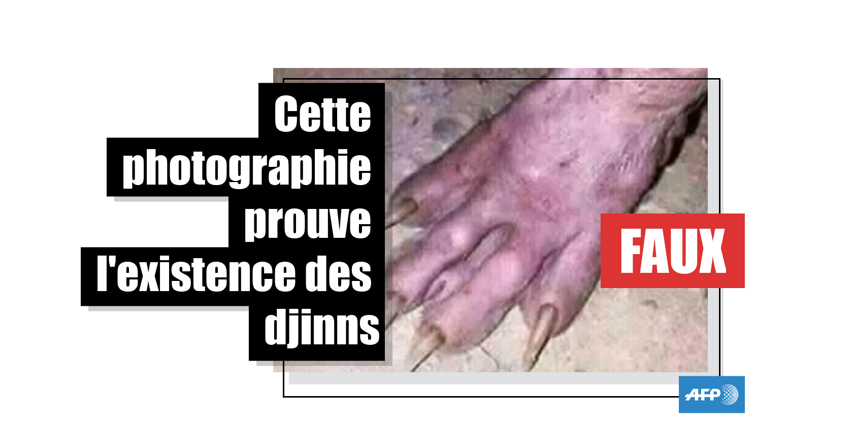 Une photo prouvant l’existence des djinns ? Non, des pattes de chien ...