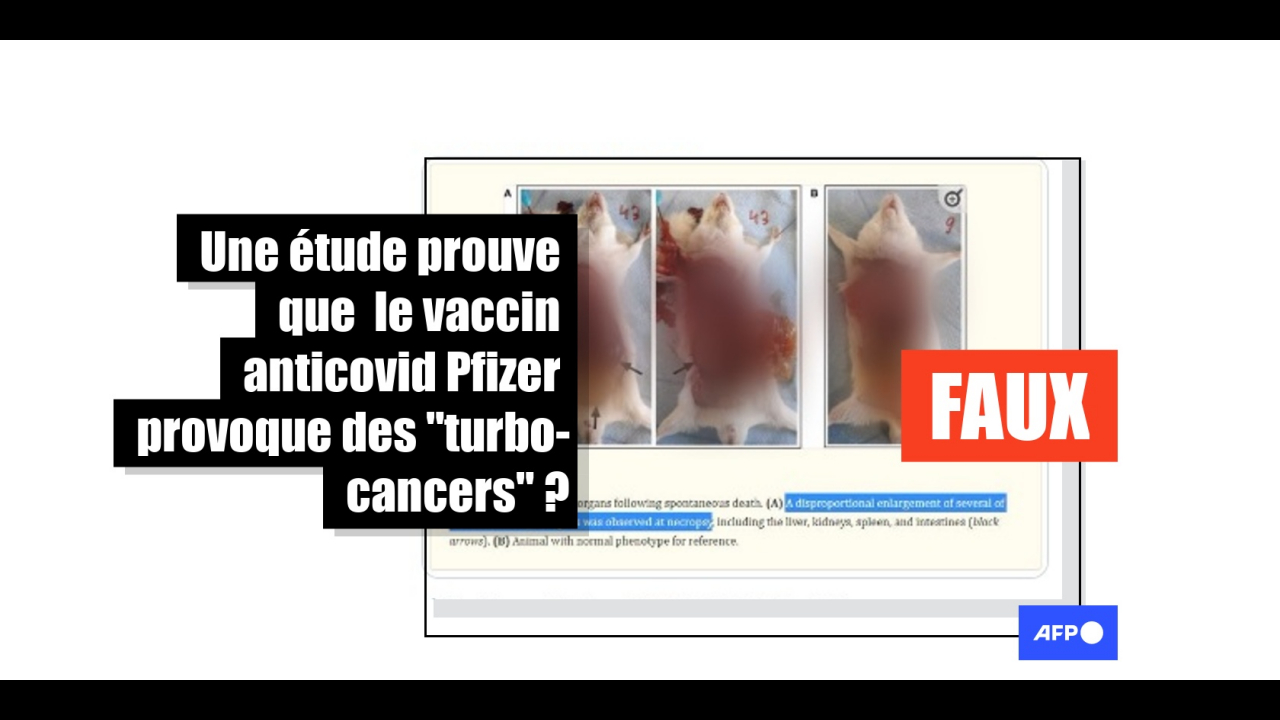 Non, cette étude n'établit pas de lien entre vaccin anticovid de Pfizer ...